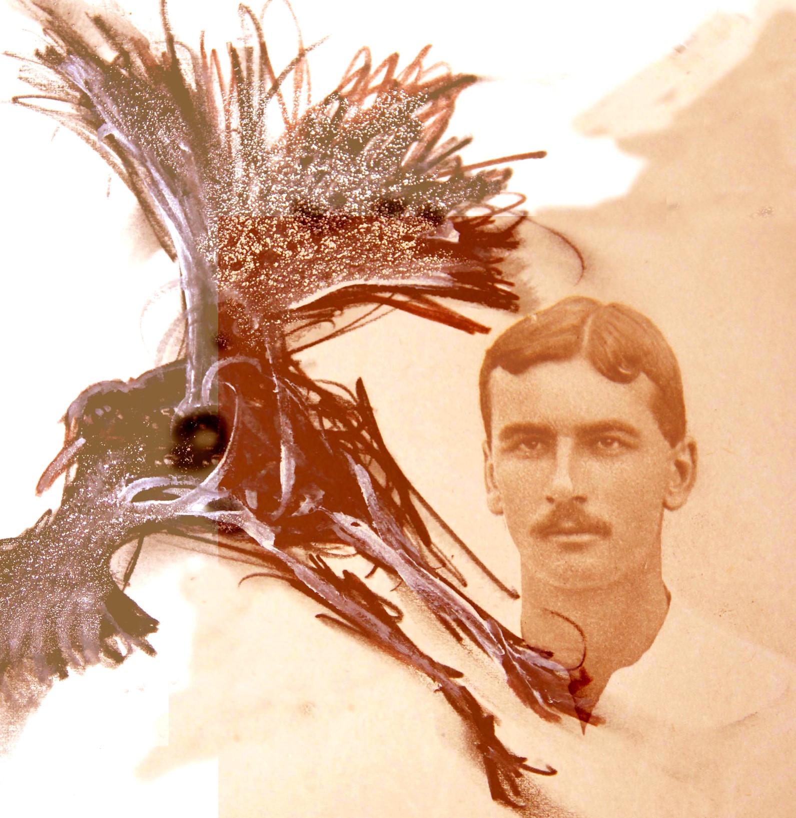 Images – the crows plucked your sinews